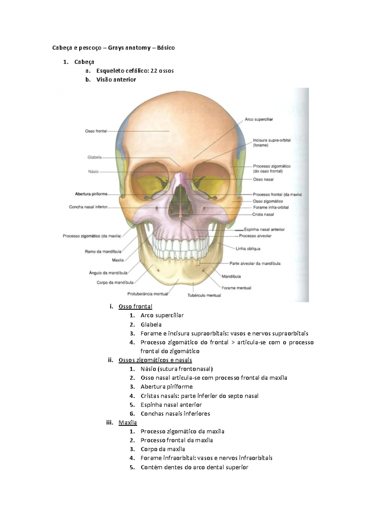 Apostila Anatomia Cabeça e Pescoço - Fonte/imagens : SOBOTTA, J ...
