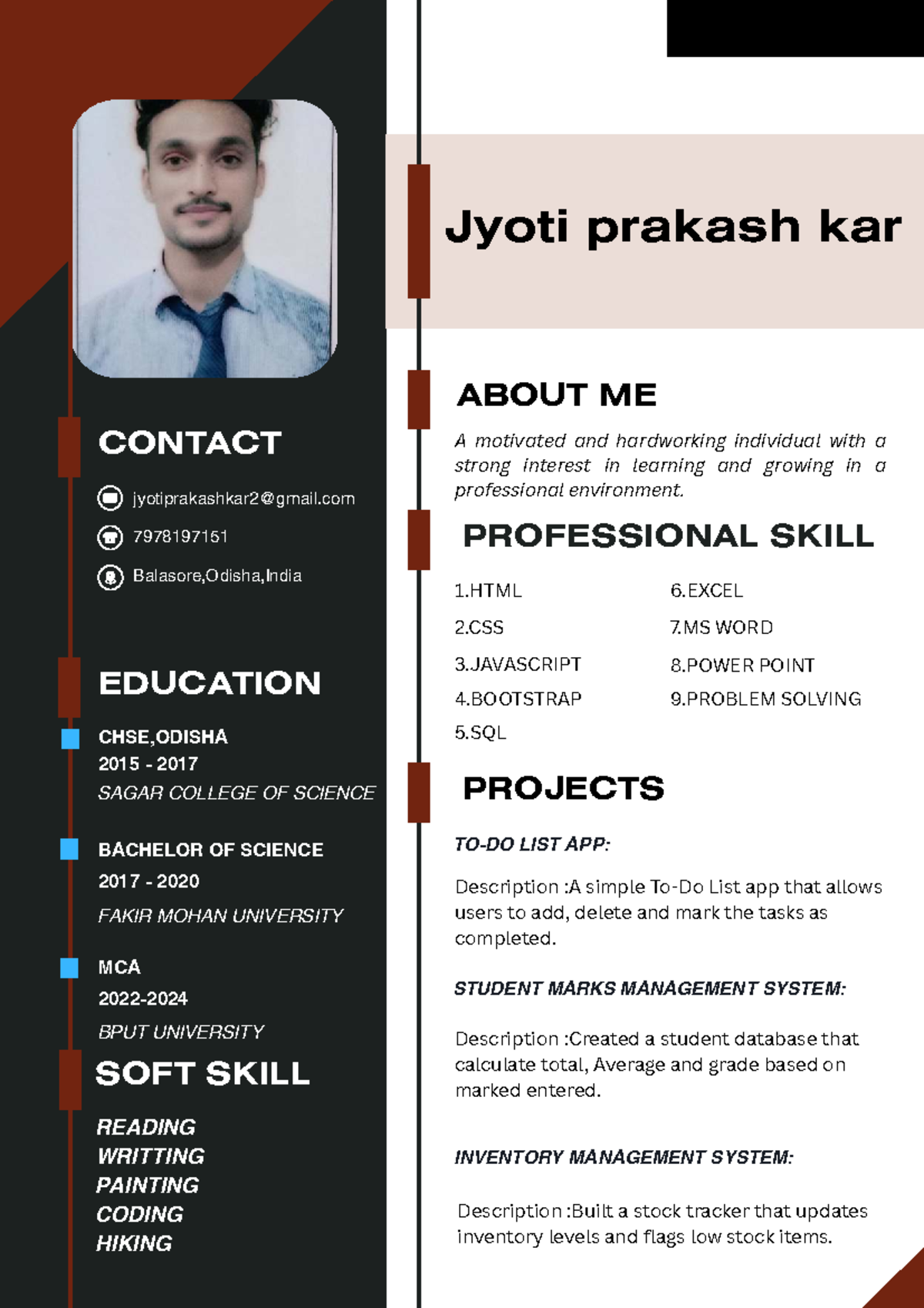 Red and Black Modern Freelance Resume - Professional Skills & Projects ...