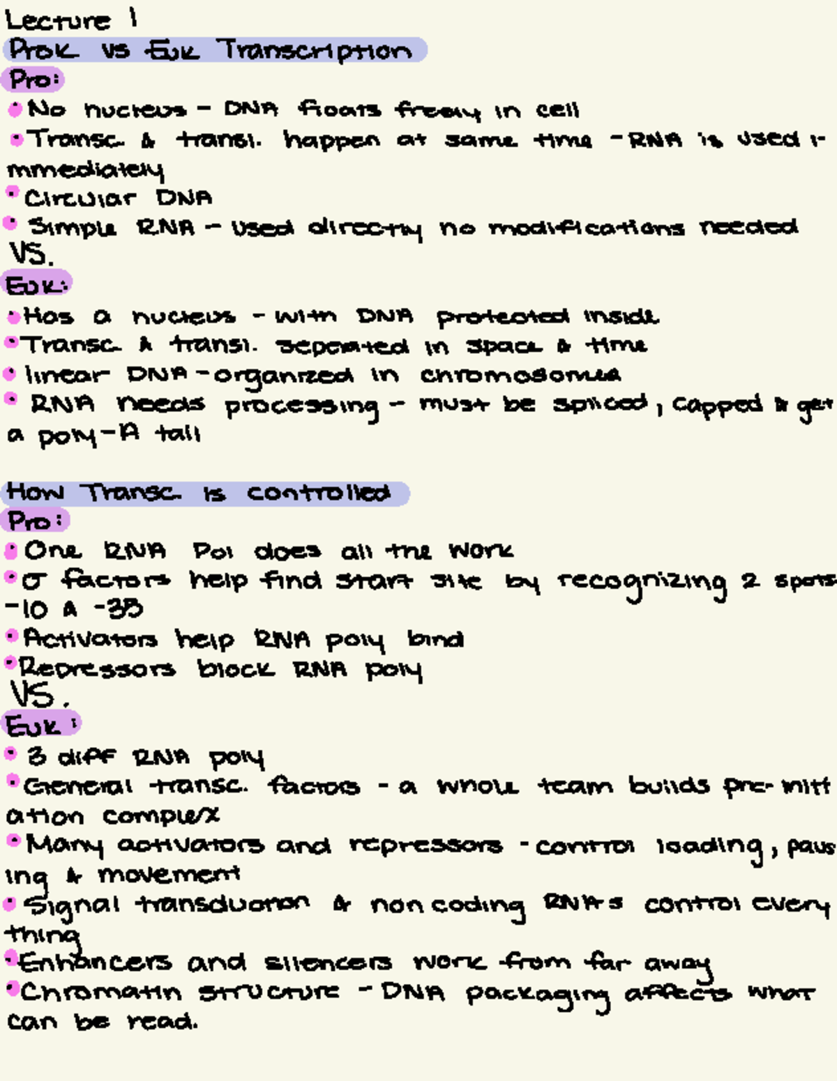 Lecture 1 Summary: Transcription and RNA Control Mechanisms - Studocu
