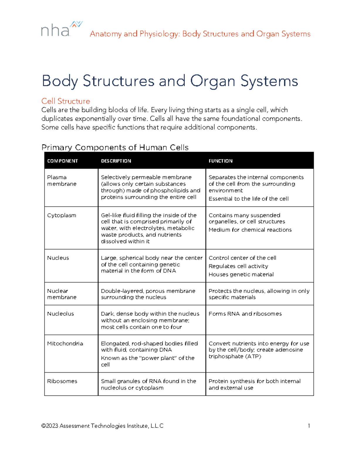 Anatomy and Physiology: Overview of Body Structures and Systems (AP 101 ...