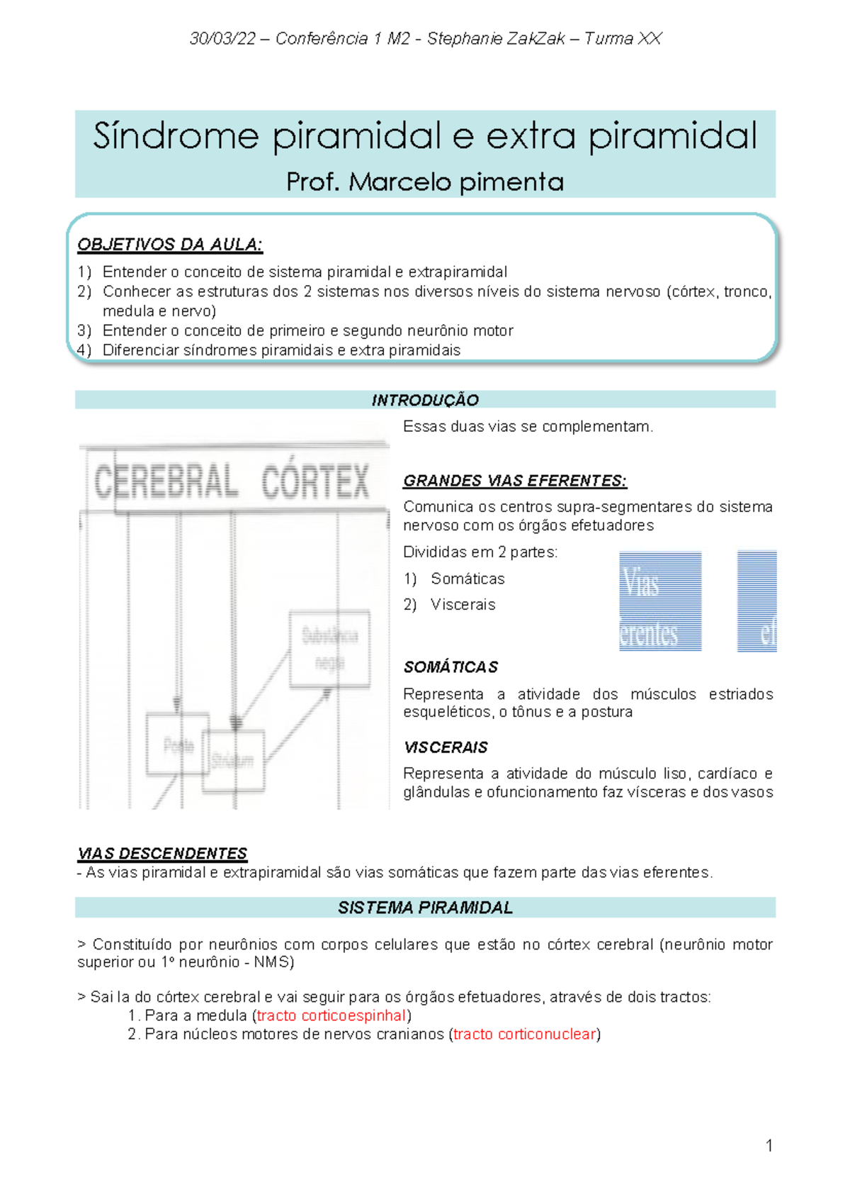 **SD - Síndrome Piramidal e Extrapiramidal: Conceitos e Estruturas ...
