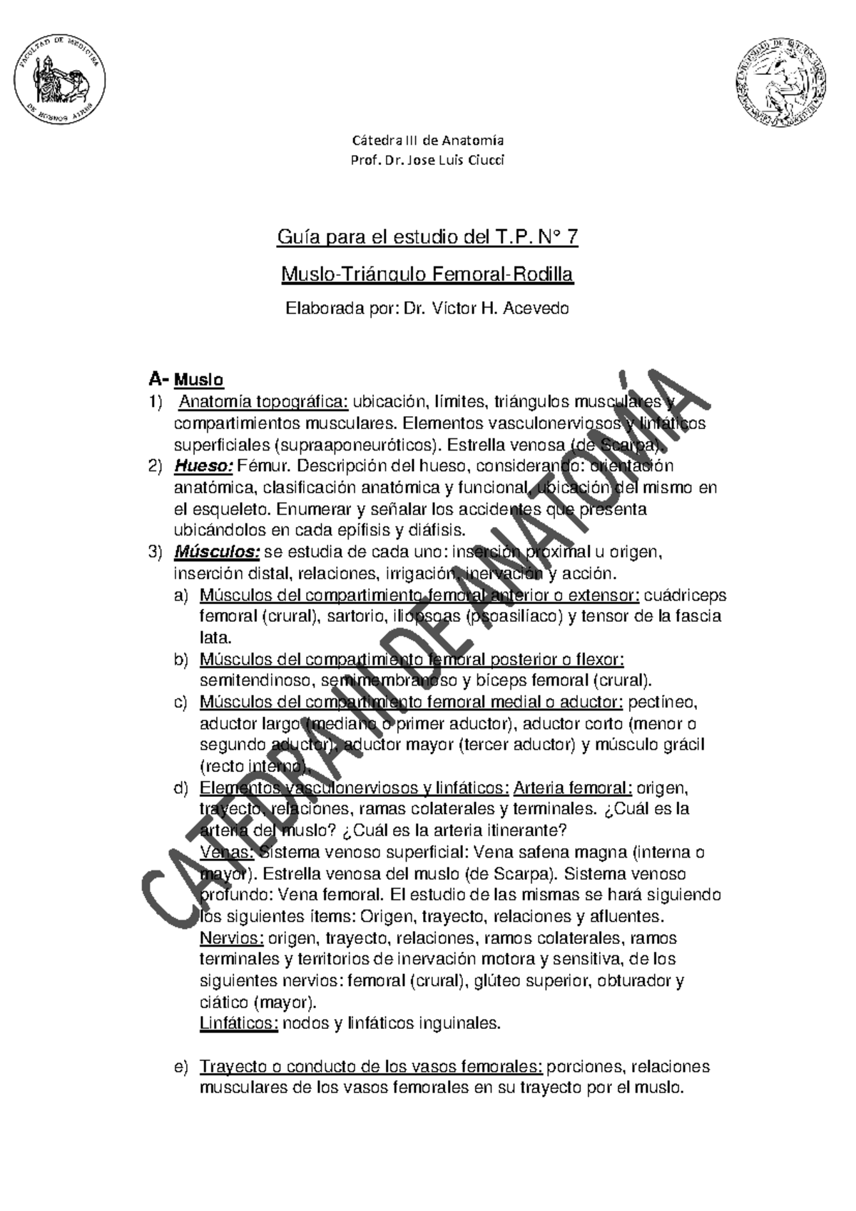 Guía de Estudio T.P. 7: Anatomía del Muslo y Rodilla - Studocu