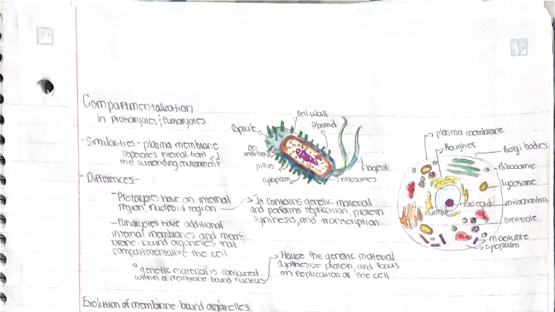 AP Central Video Notes: Compartmentalization in Prokaryotes (Oct 10 ...