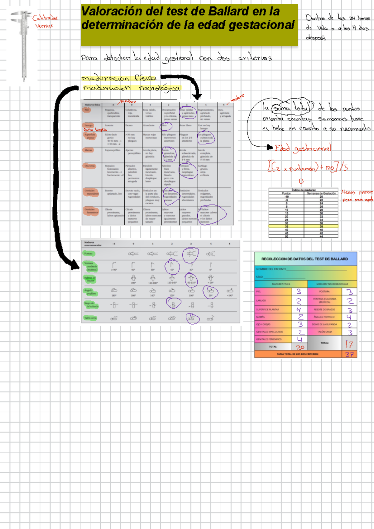Valuación del Test de Ballard para Determinar Edad Gestacional - Aaa ...