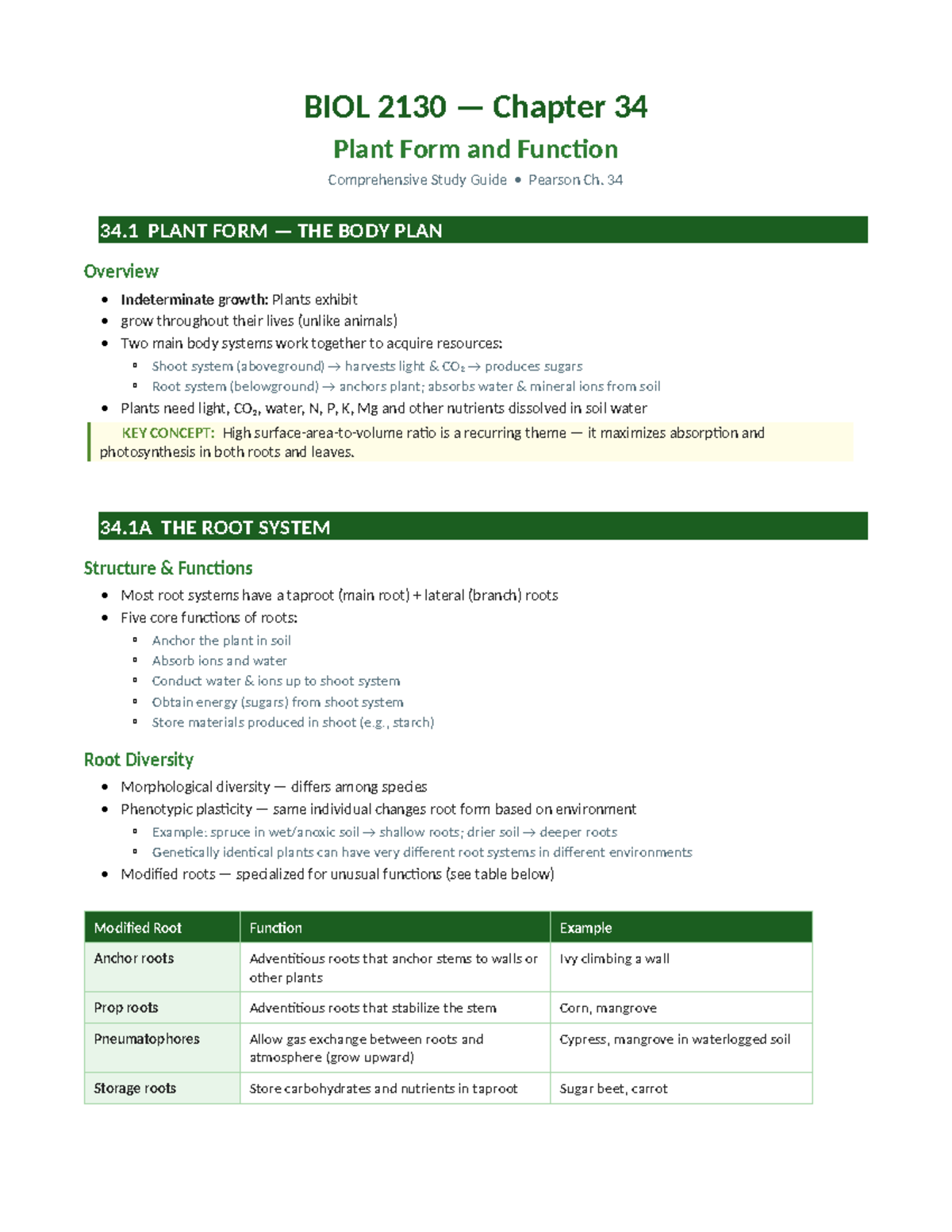 BIOL 2130 Chapter 34 Plant Form and Function Study Guide - Studocu