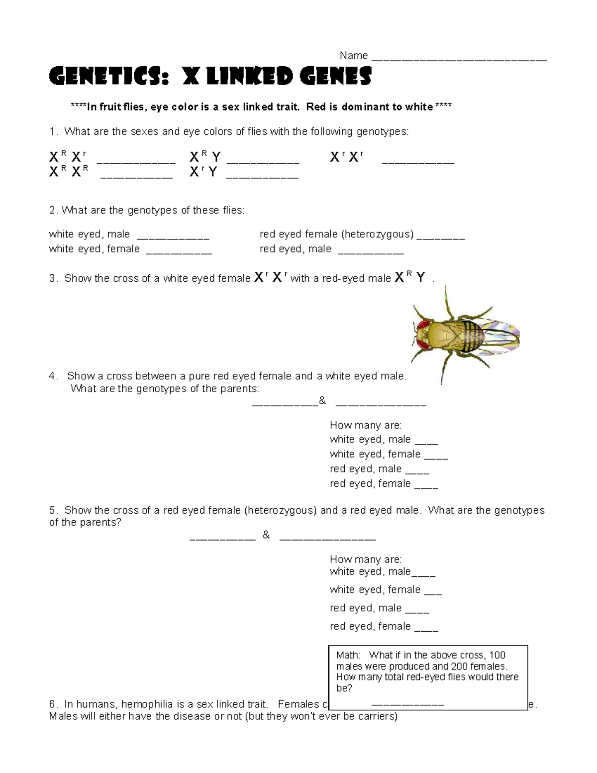 Genetics: X-Linked Traits in Fruit Flies and Hemophilia Analysis - Studocu