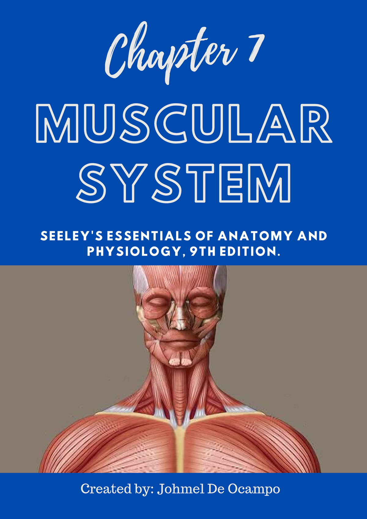 Anatomy Physiology (Chapter 7 Muscular System) - MUSCULAR SYSTEM ...