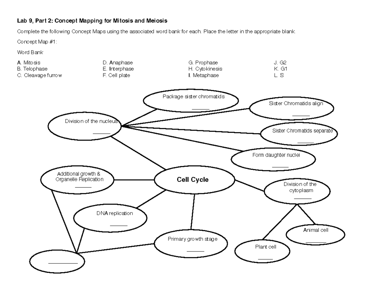 Lab 9: Concept Mapping for Mitosis & Meiosis (Part 2) - Studocu