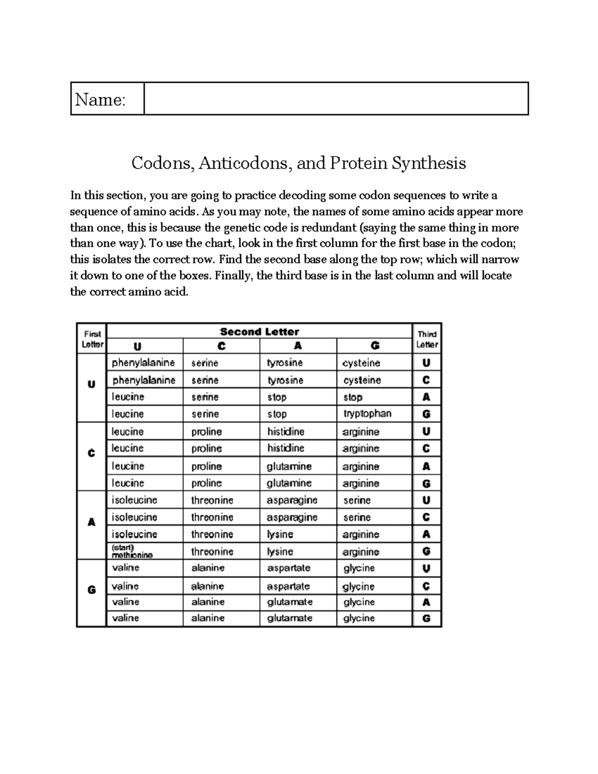 Codon Practice Worksheet for Protein Synthesis and Translation - Studocu