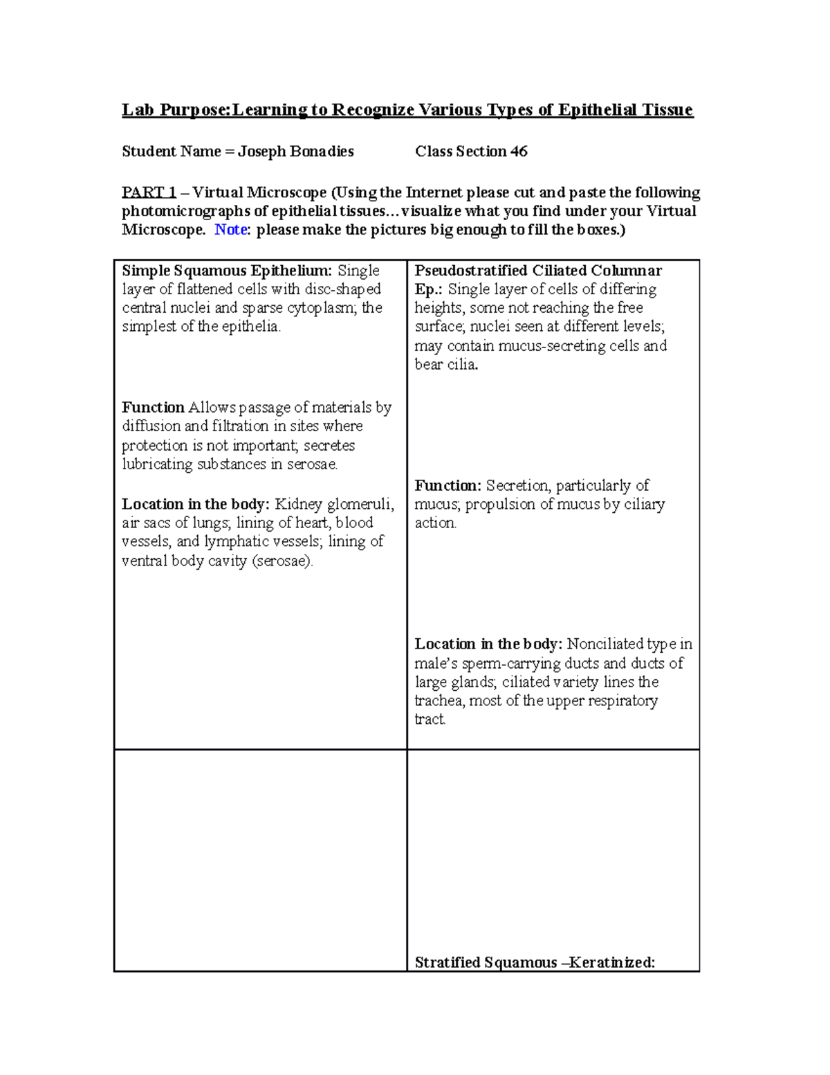 Laboratory Epithelial Tissue Histology Worksheet-FA20 - Lab Purpose ...