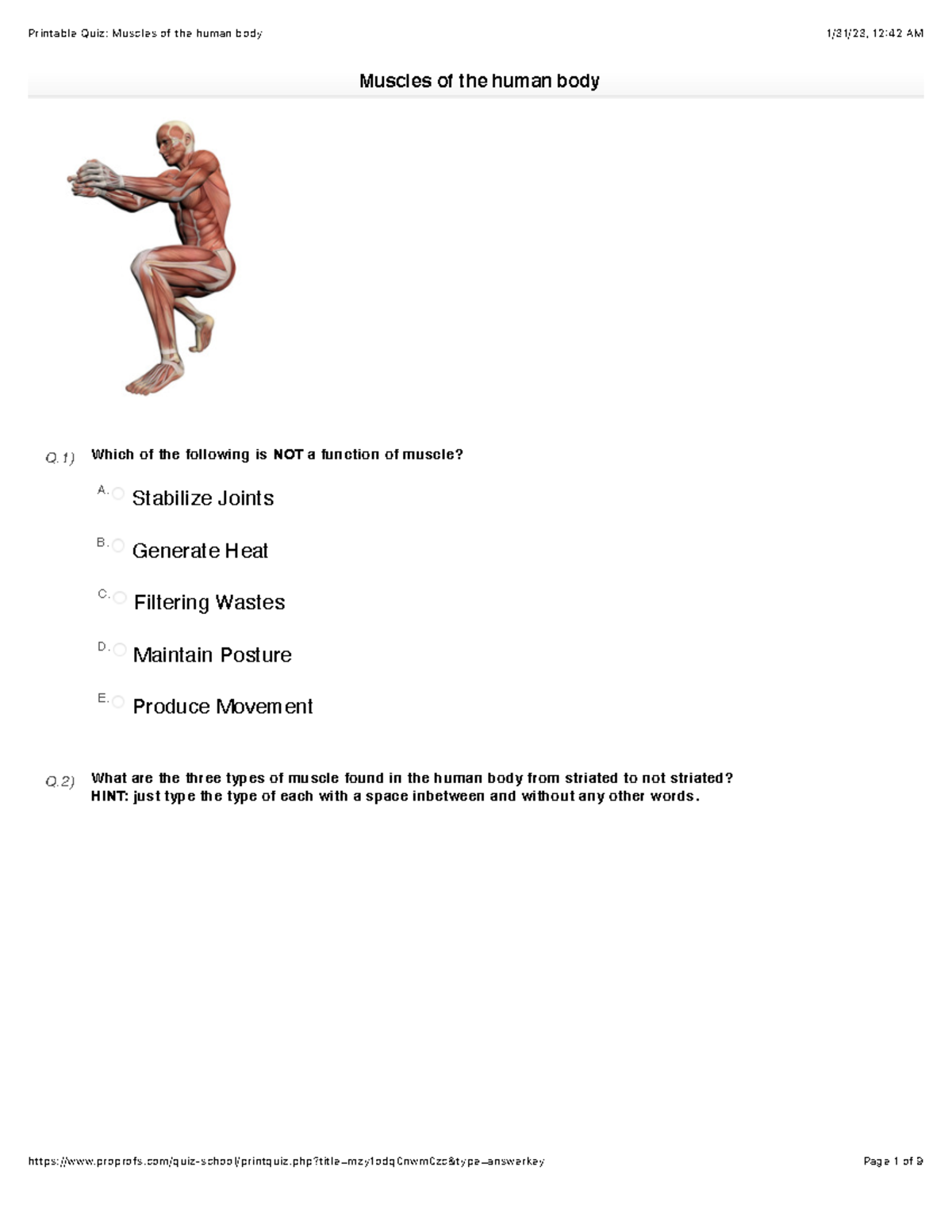 Human Body Muscles: Functions and Characteristics Explained - Studocu