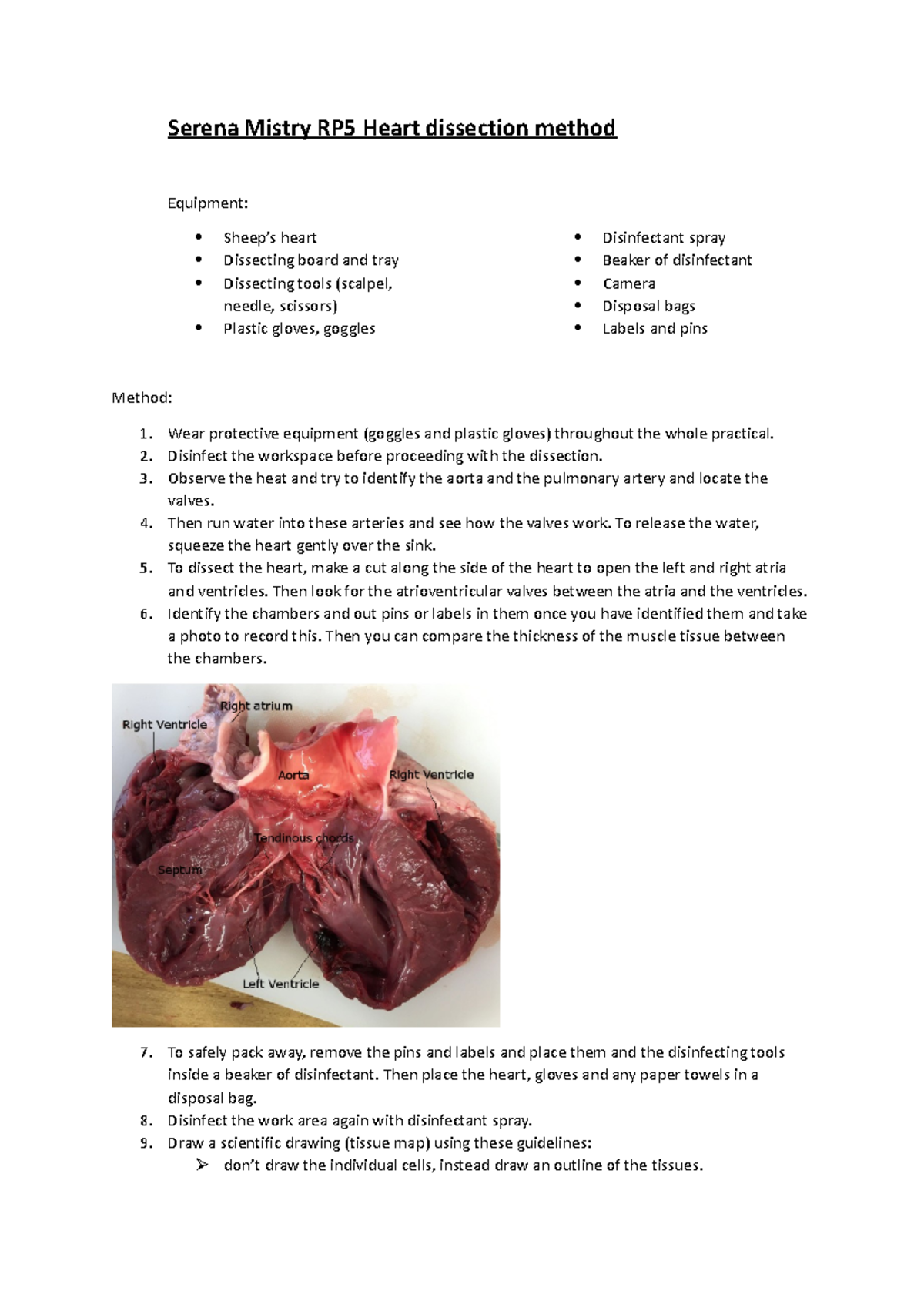 RP 5 - Detailed Method for Heart Dissection Procedure - Studocu