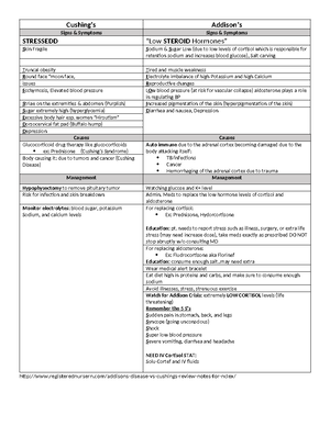 Maternal Newborn Labor Delivery Nurse Notes - Maternal Newborn Labor ...