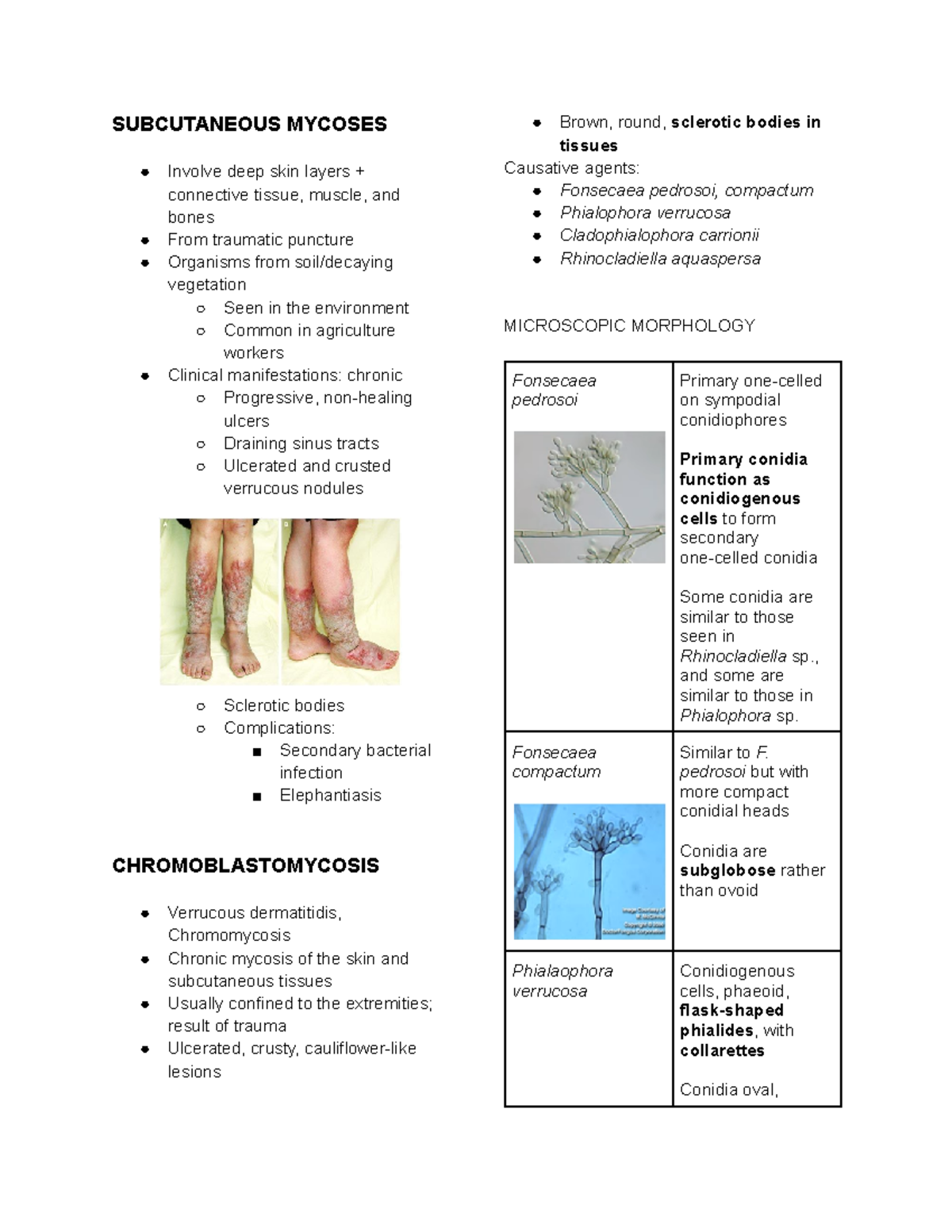 Subcutaneous and systemic mycoses - SUBCUTANEOUS MYCOSES Involve deep skin layers + connective ...