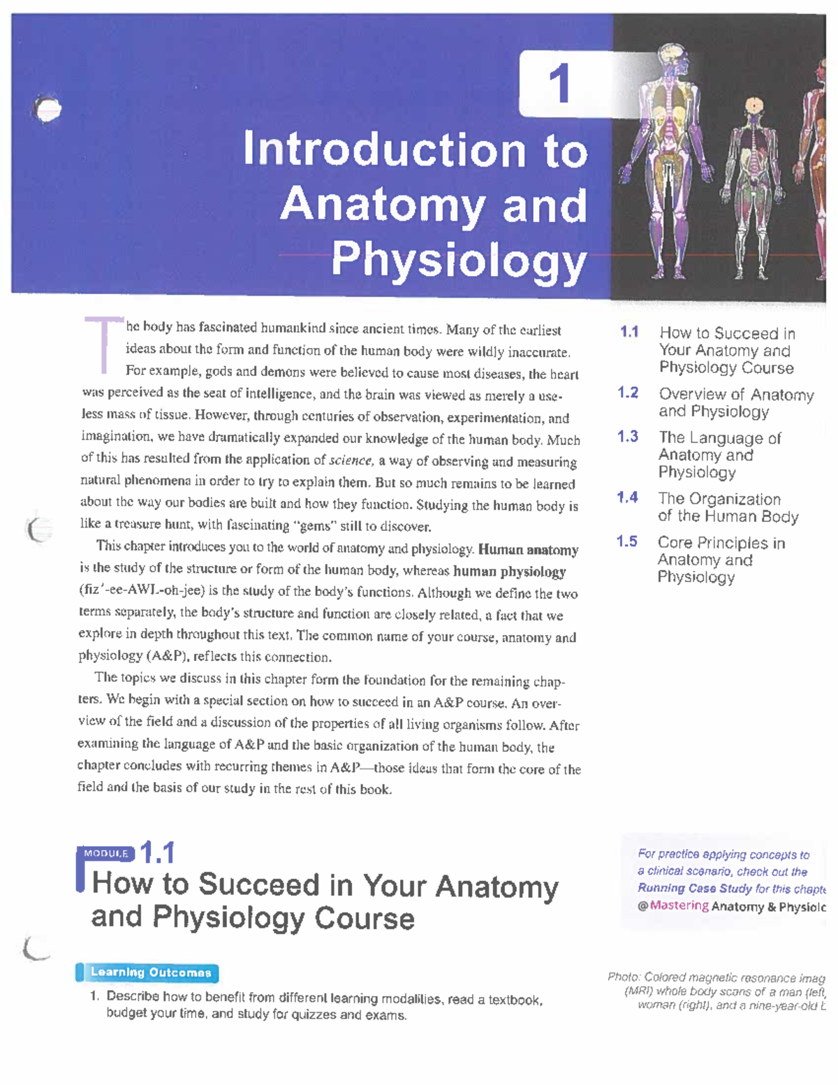 Final Exam Study Guide for Course Code XYZ123: Anatomy and Physiology ...