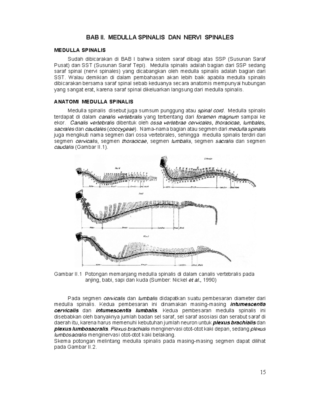 Handout Neuroanatomi 2: Medulla Spinalis dan Nervi Spinales - Studocu