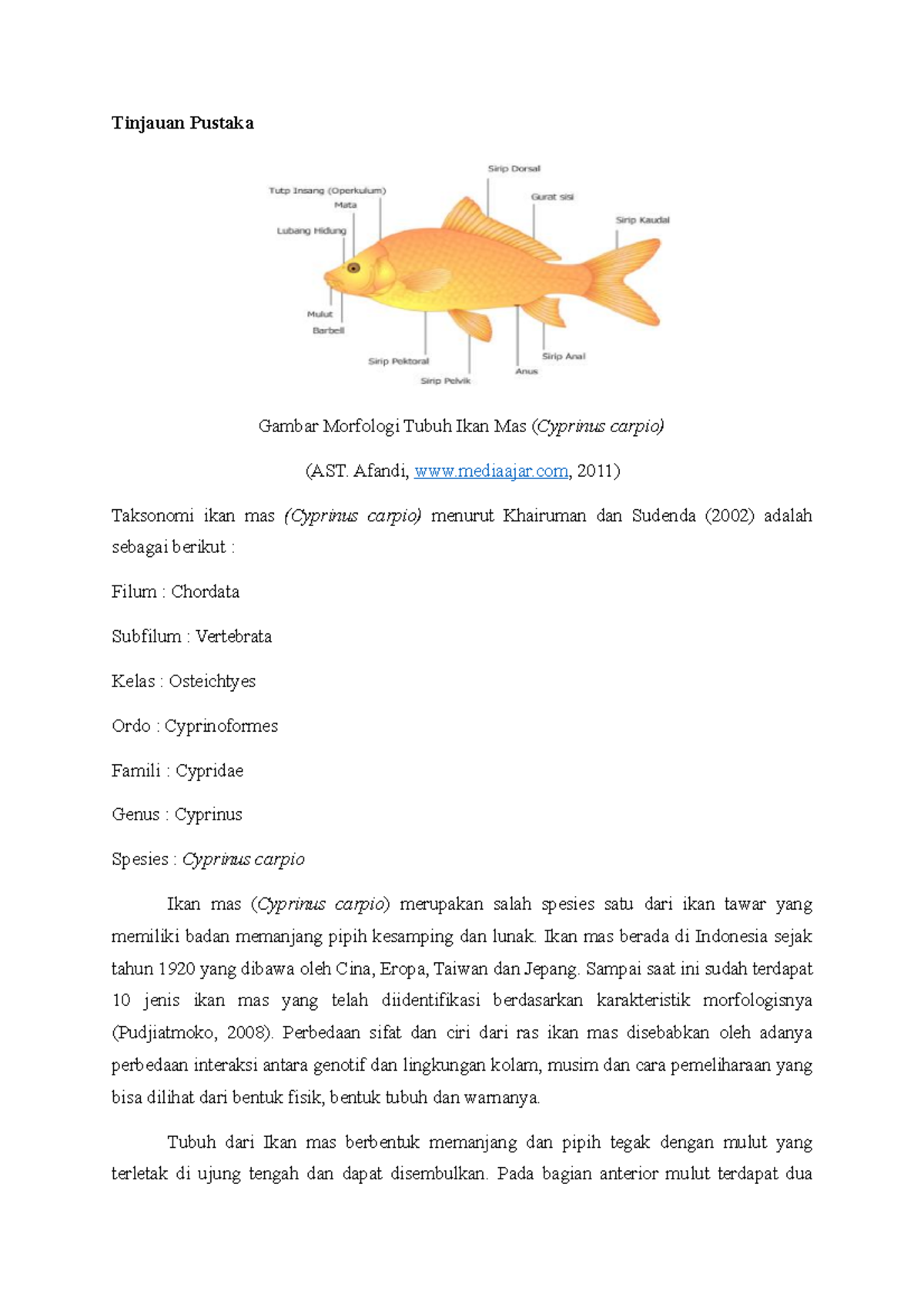 Tinjauan Pustaka tentang Morfologi dan Taksonomi Ikan Mas (Cyprinus ...