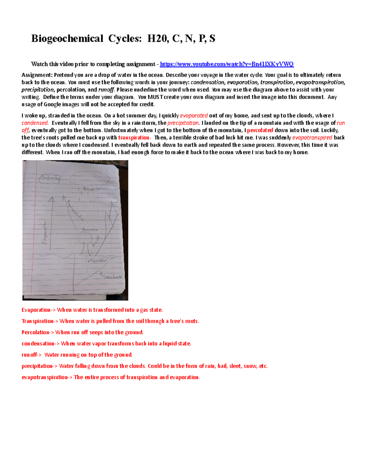 Biogeochemical Cycle Review: Water, Nitrogen, Phosphorus Explained ...