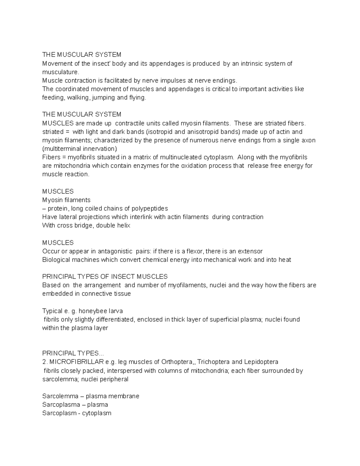 Insect Muscular System Overview - Key Types and Functions - Studocu