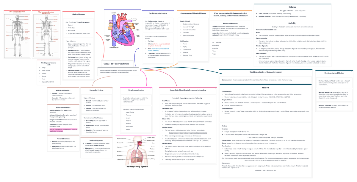 Core 2 - Mind Map on Body Movement and Systems - Studocu