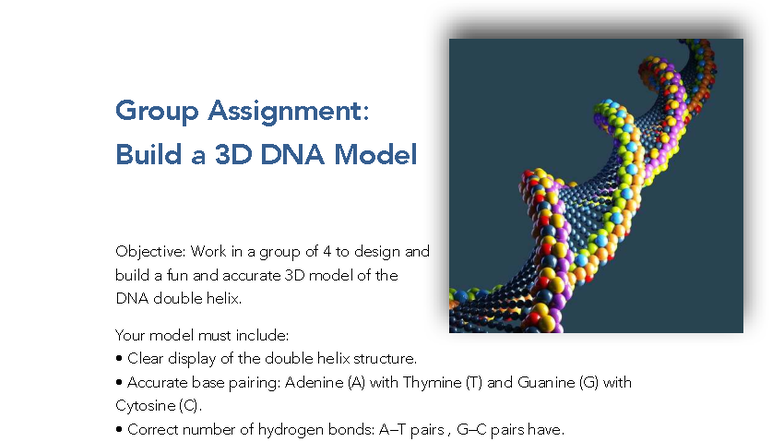 DNA 3D Model Group Assignment: Building the Double Helix - Studocu