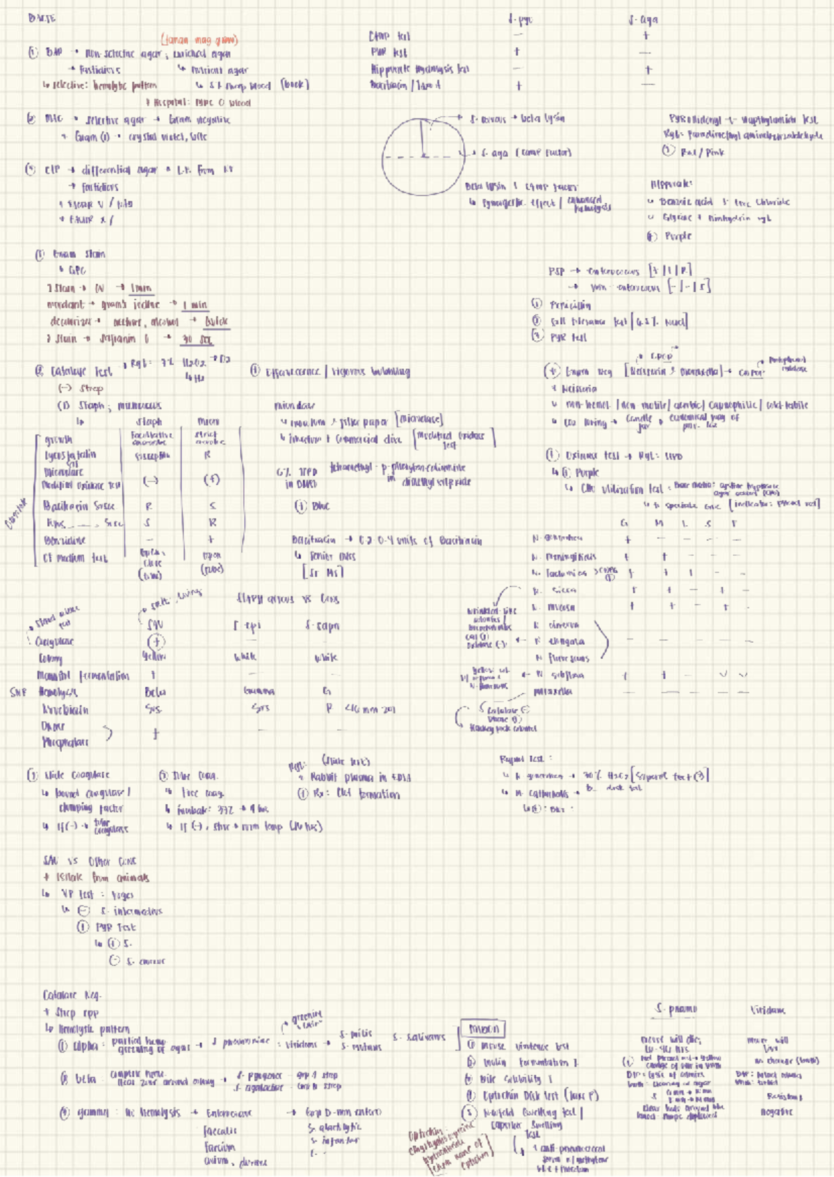 BACTE 101: Comprehensive Review of CAMP Test and BAP Selective Agar ...