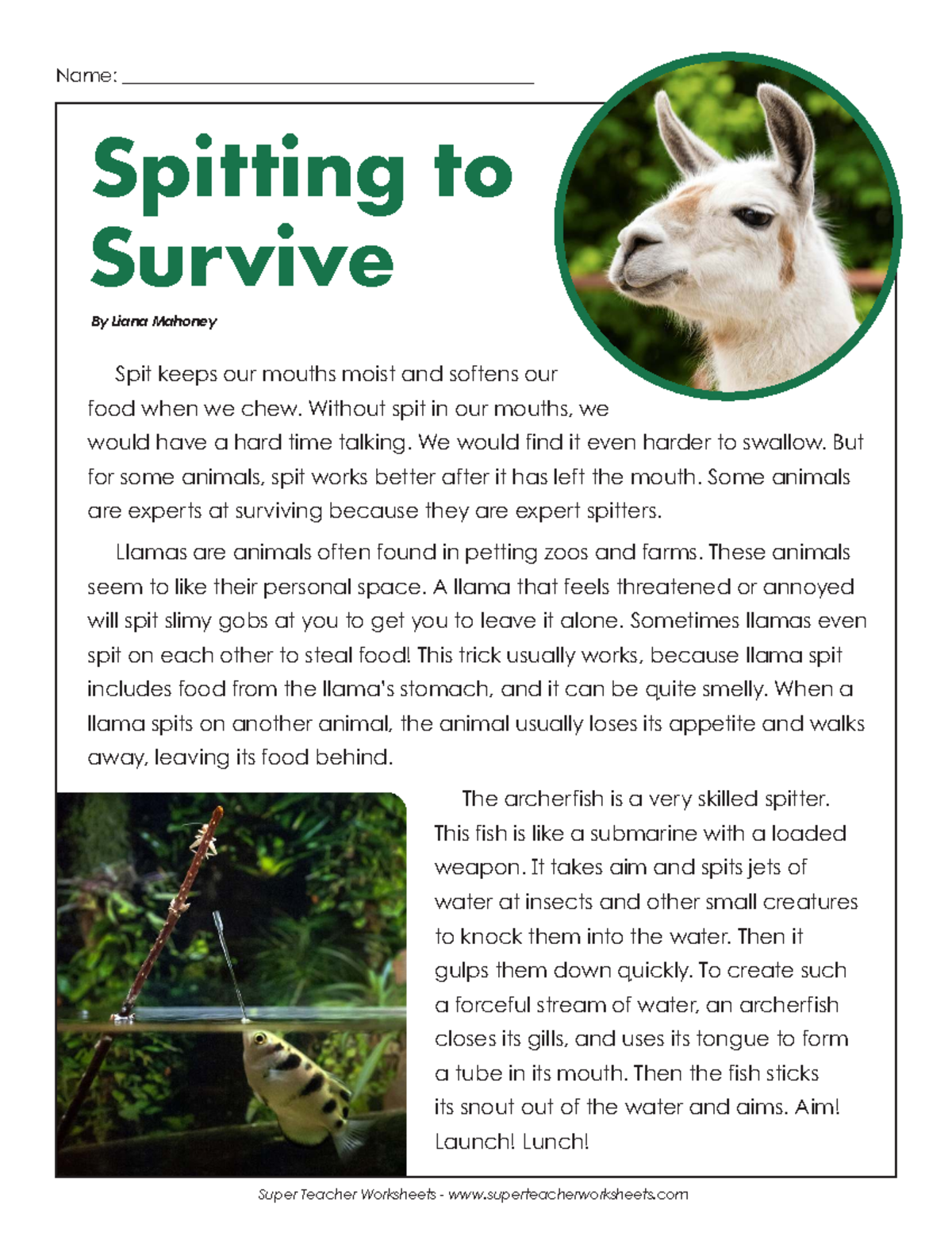 5th Grade Lesson: Spitting Animals and Their Survival Techniques - Studocu