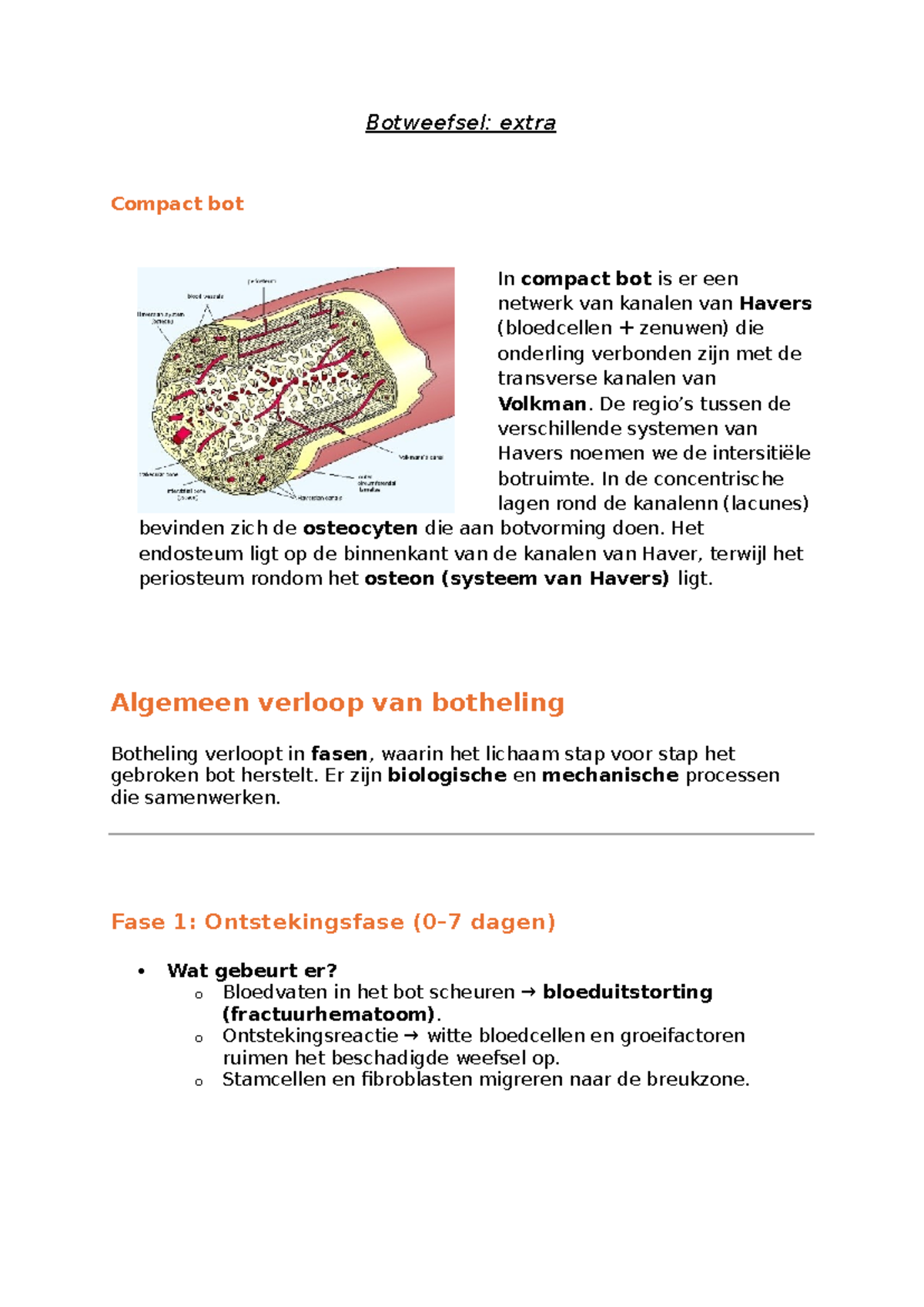 Samenvatting Botweefsel: Extra Compact Bot en Botheling Fasen - Studocu