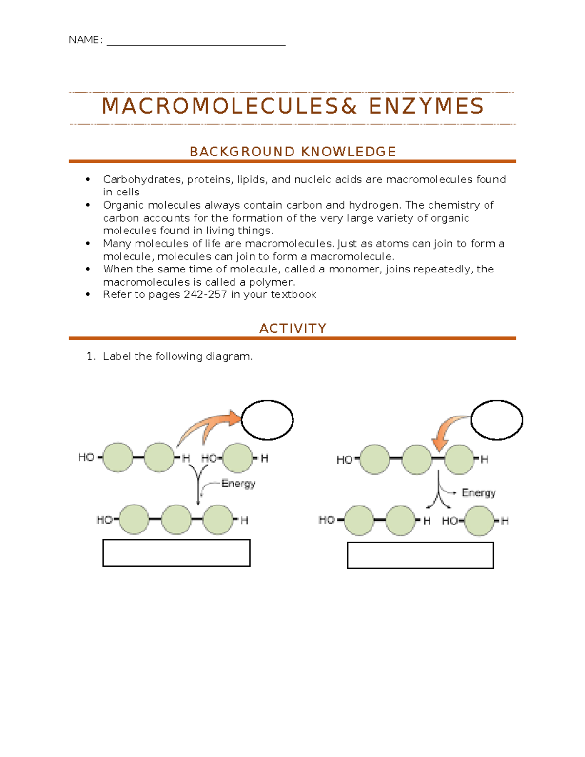Macromolecules: Carbohydrates, Lipids & Proteins Study Notes - Studocu
