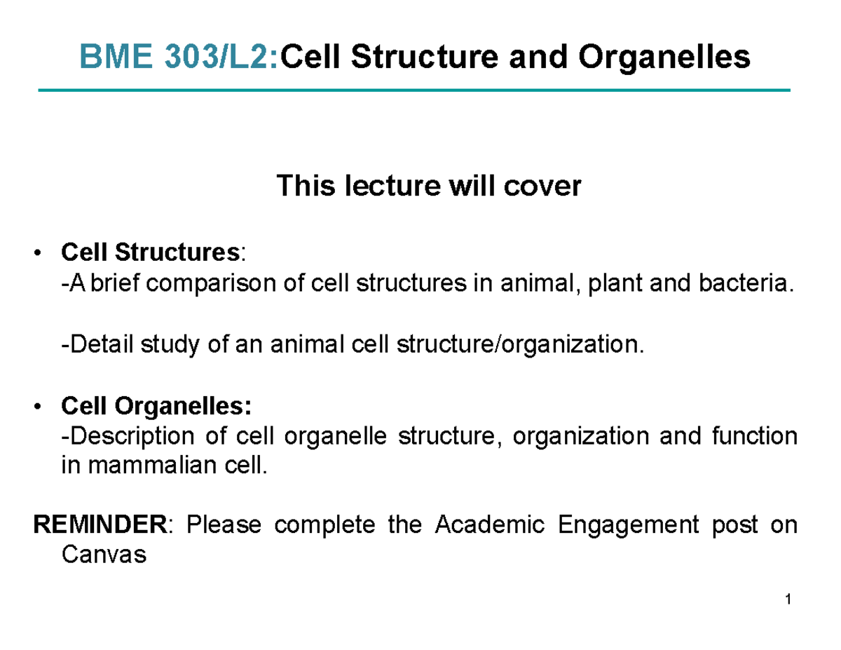 BME 303/L2: Structure & Functions of Animal Cell Organelles - Studocu