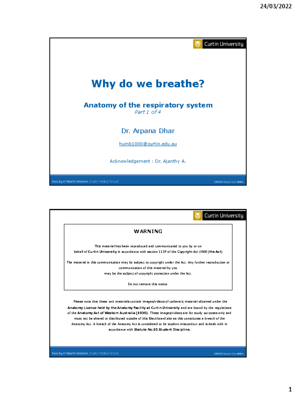 Respiratory System Anatomy & Gas Exchange: A Study Guide (ANAT101 ...