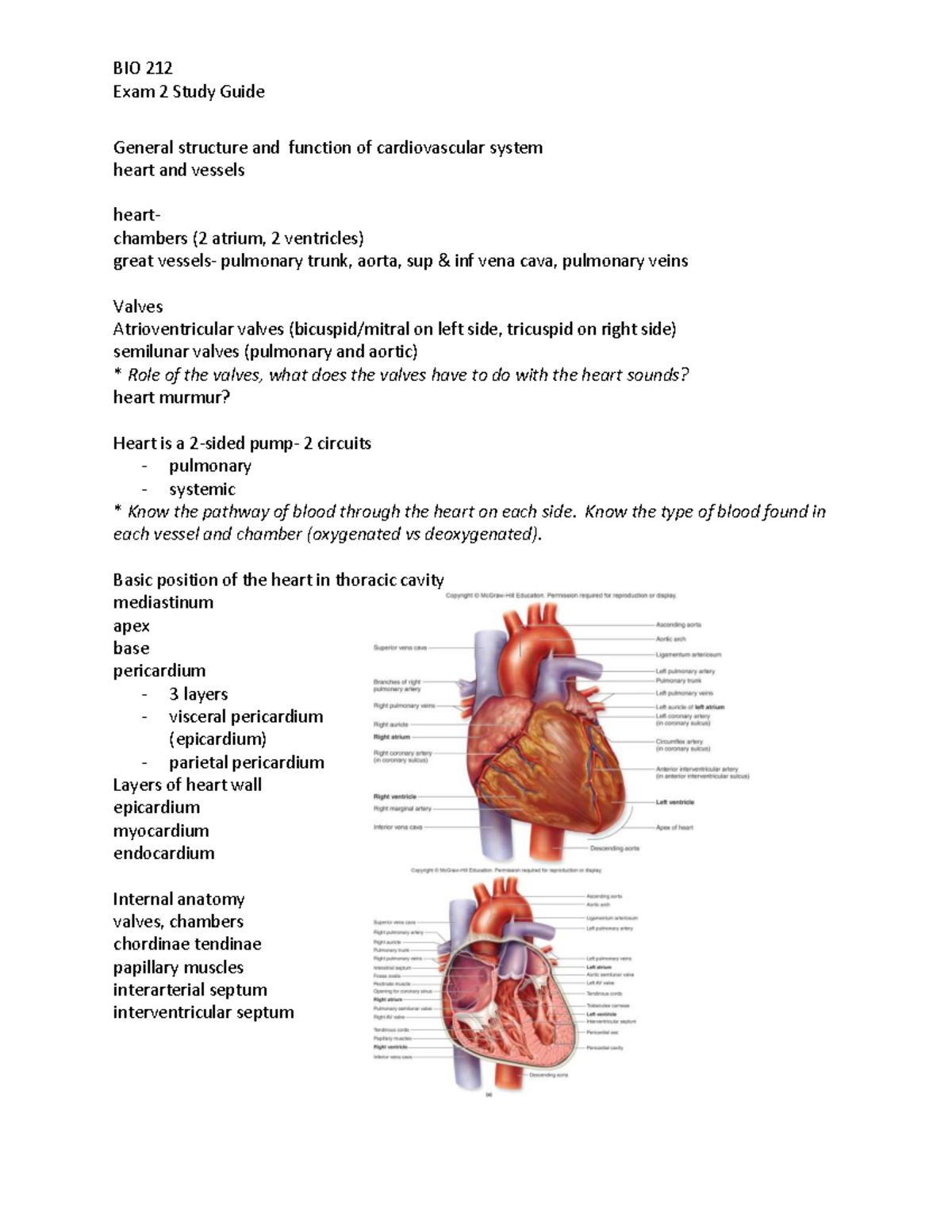 BIO 212 Exam 2 Study Guide: Cardiovascular System Overview - Exam 2 Study Guide General ...