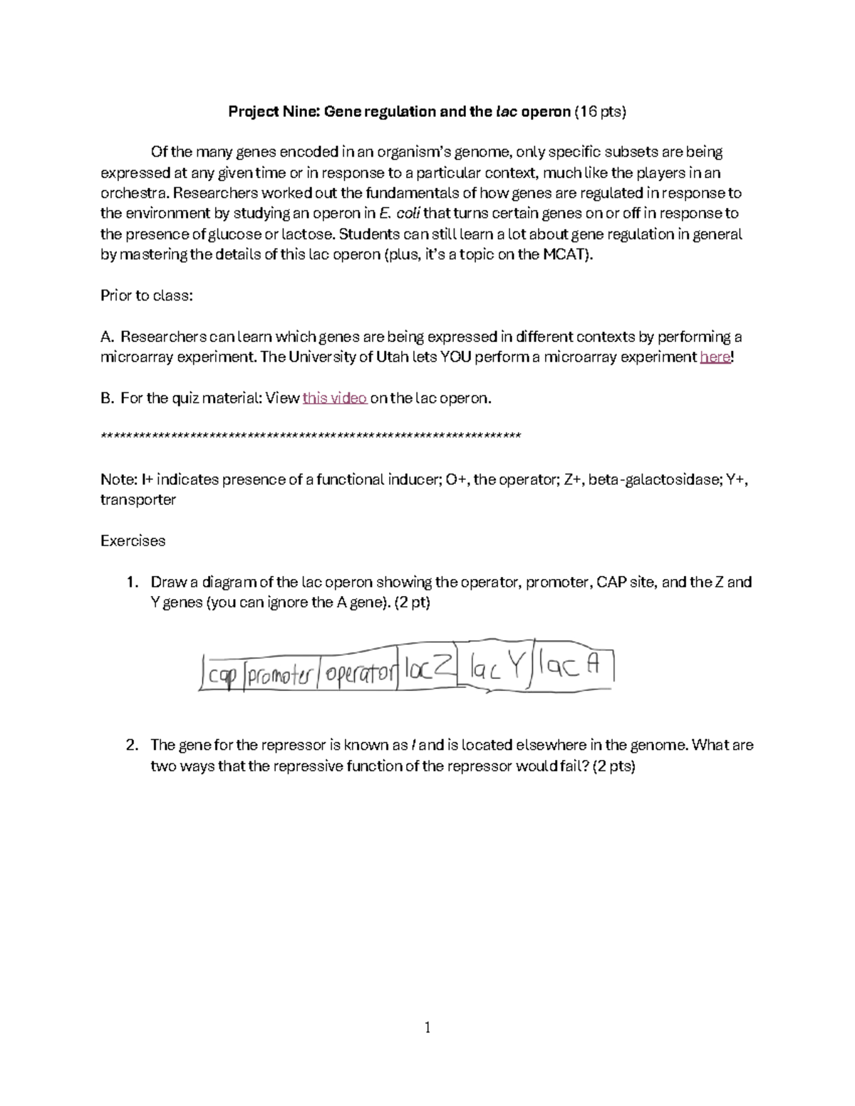 BIOL 2302 Project 9: Gene Regulation & Lac Operon Overview - Studocu