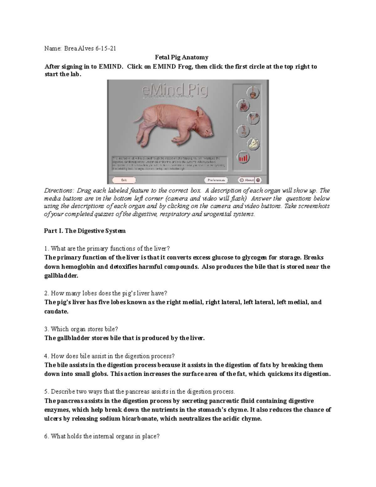 Fetal Pig Anatomy Lab: Digestive, Respiratory & Urogenital Systems ...
