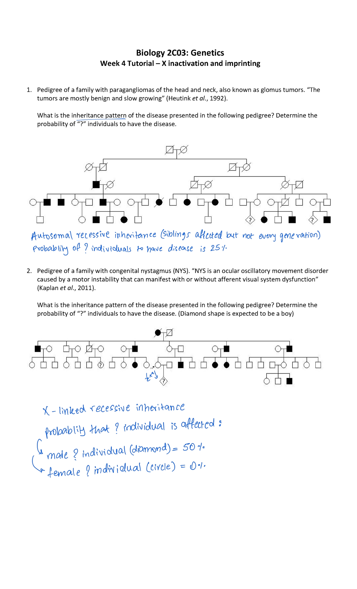 Week 8 Tutorial - X-inactivation and Imprinting - Biology 2C03 ...