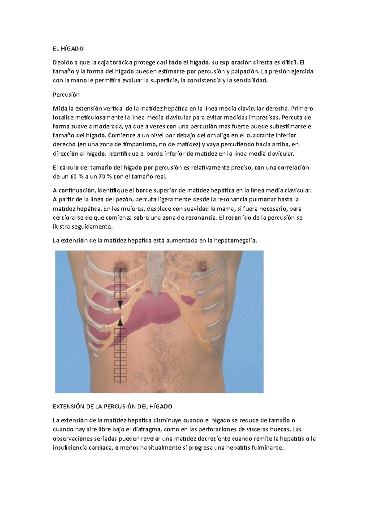 Semiología del Abdomen: Exploración Hepática - Higado - Medicina 101 ...