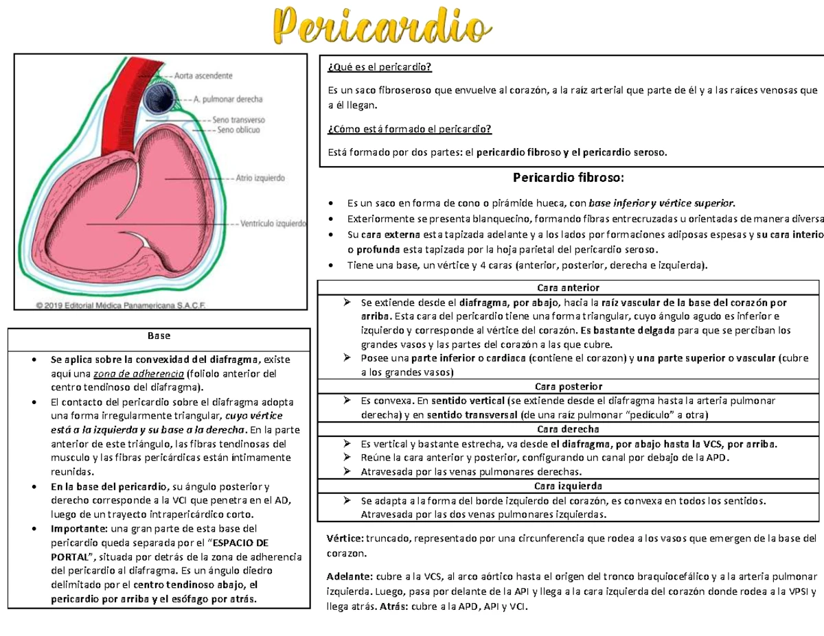 Material de lectura - Arterias carótidas interna y externa y sus ramas ...