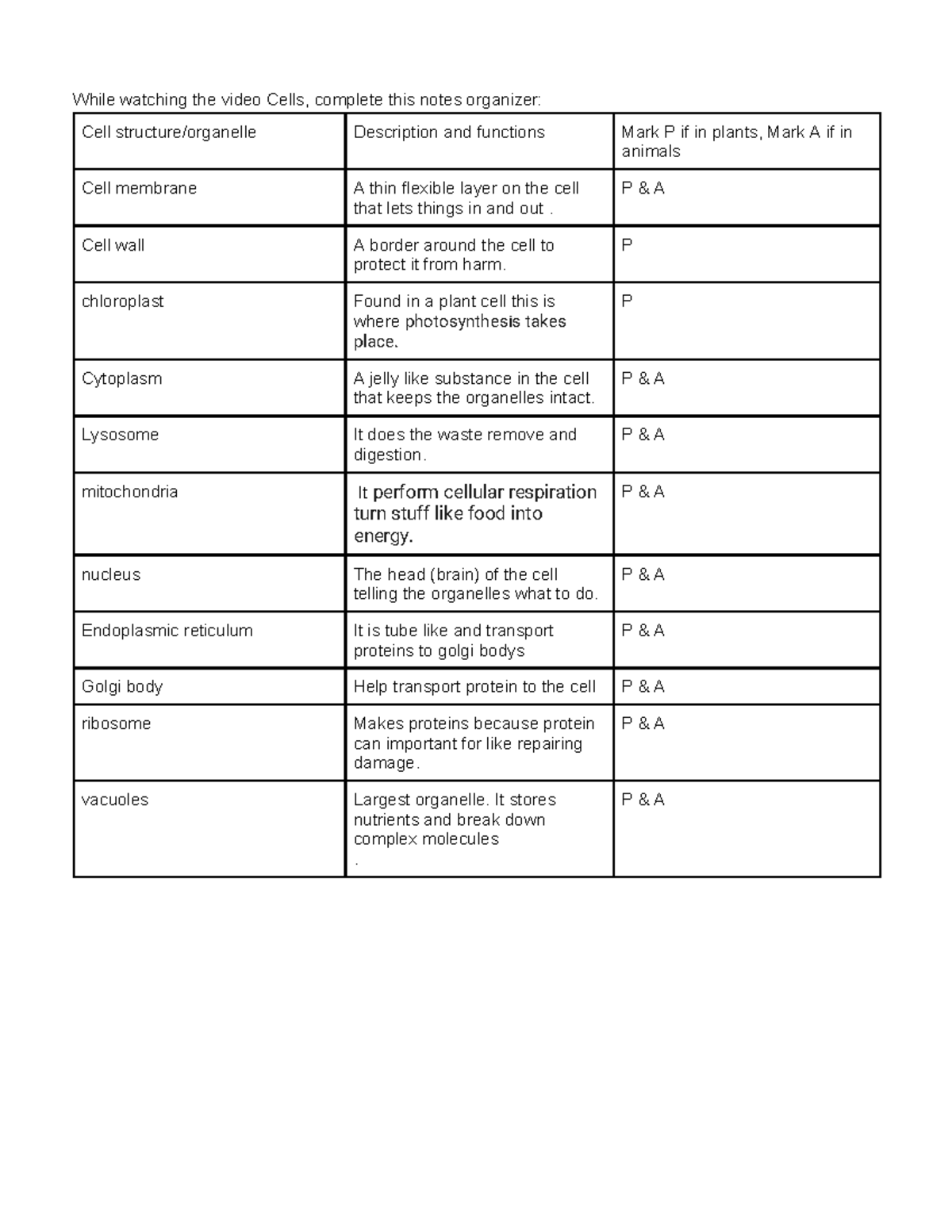 Organelles Overview: Functions & Descriptions for Cells (Bio 101) - Studocu
