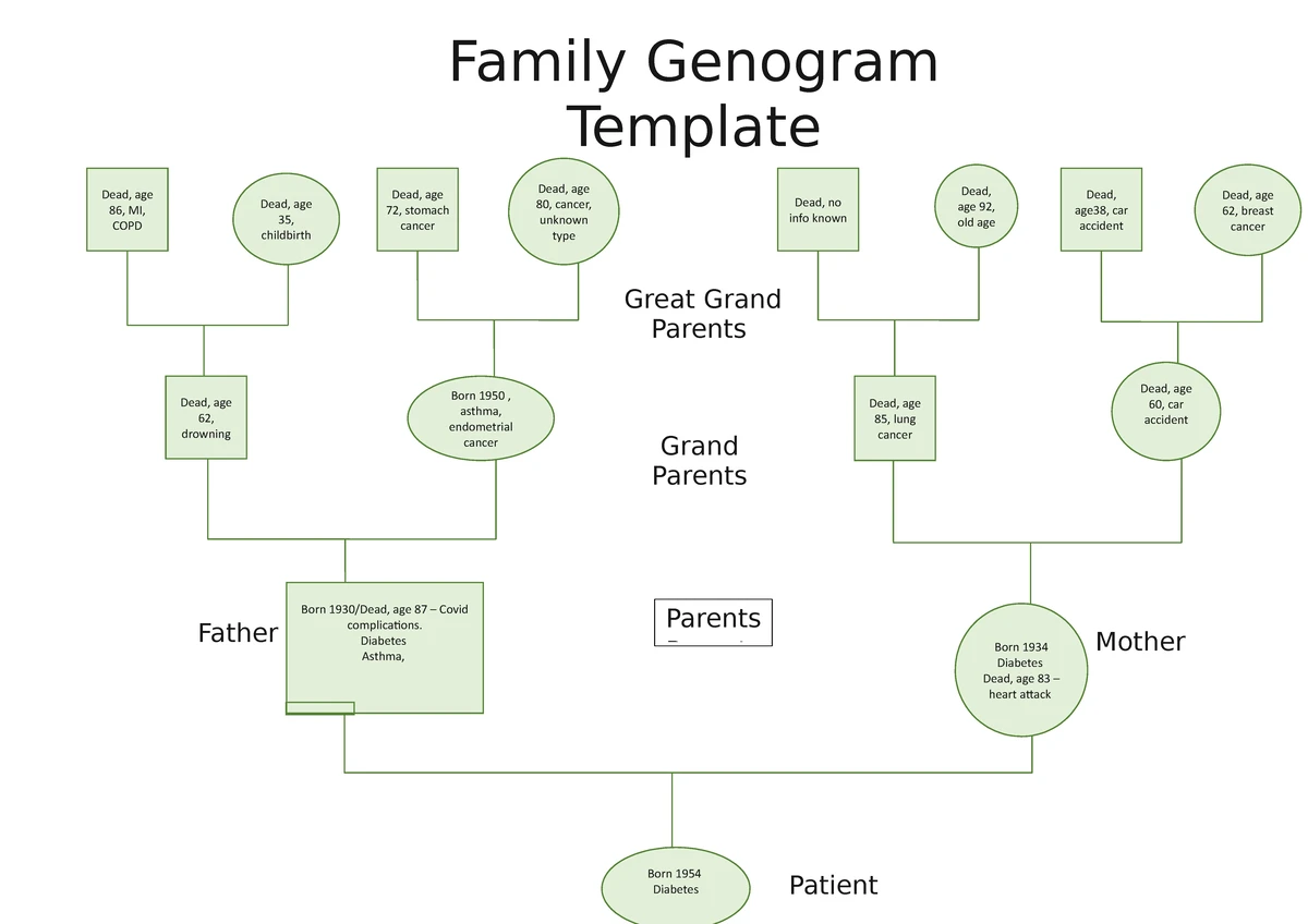 Genogram and Ecomap Analysis for Nursing 436 Assignment 2 - Studocu