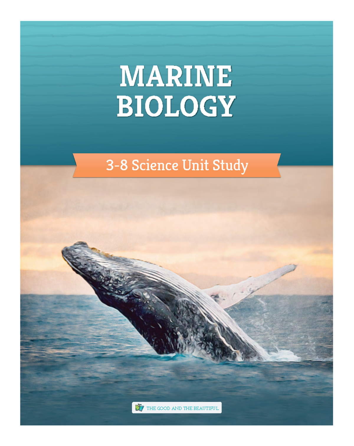 Marine Biology 3.0: Complete Course Overview and Lesson Plans - Studocu