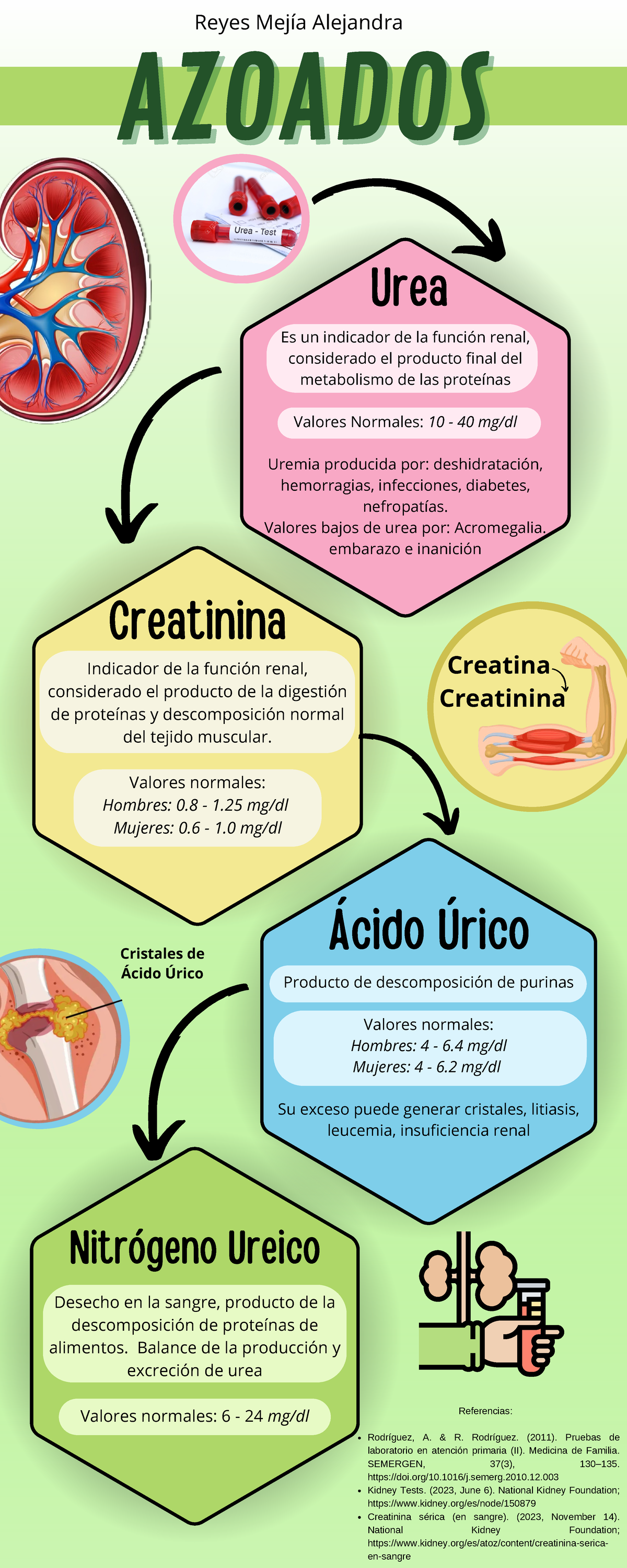 Resumen de Azoatos y Función Renal - Guyton y Hall Fisiología 13ª Ed ...