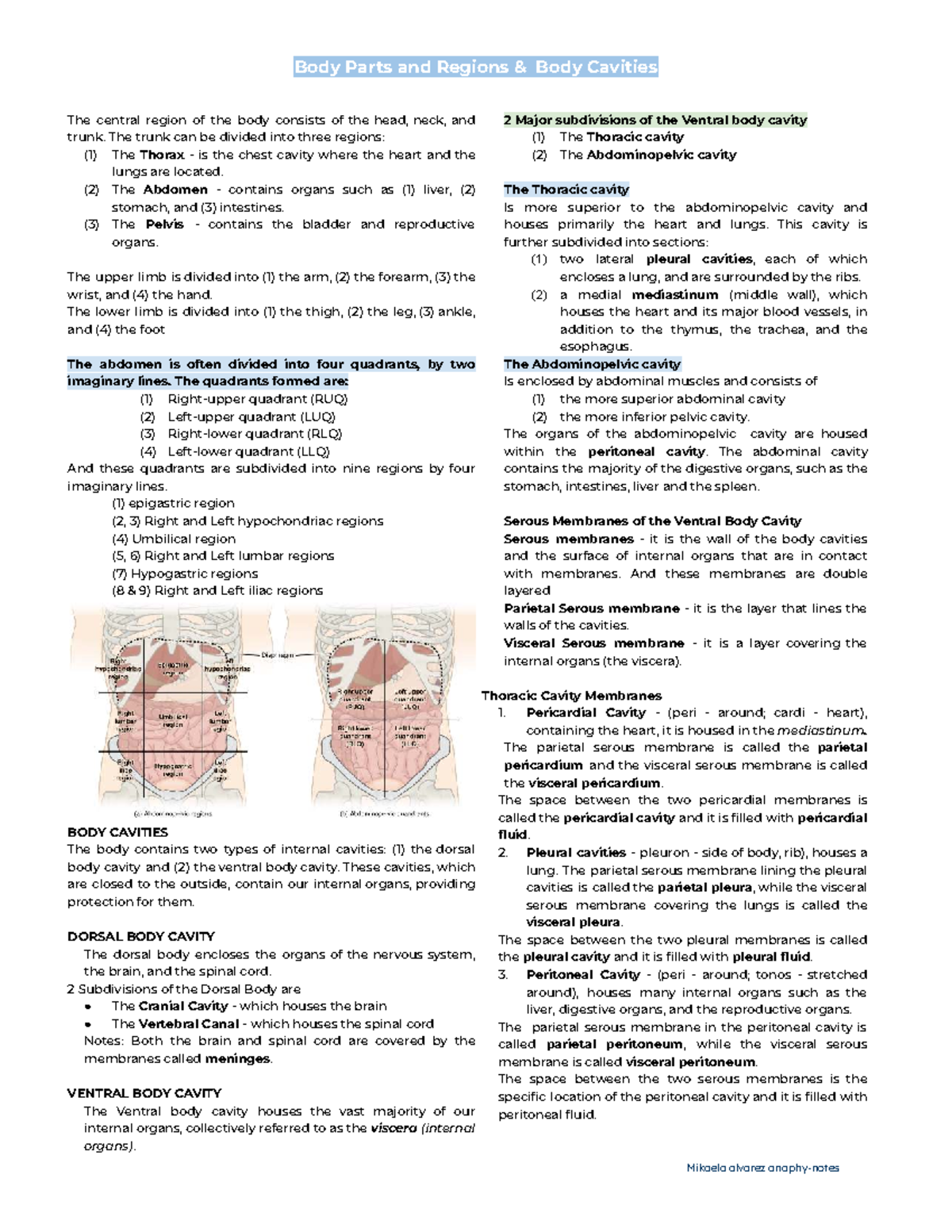 (ABCD 101) Body Parts, Regions & Cavities: Abdominal Overview - Studocu