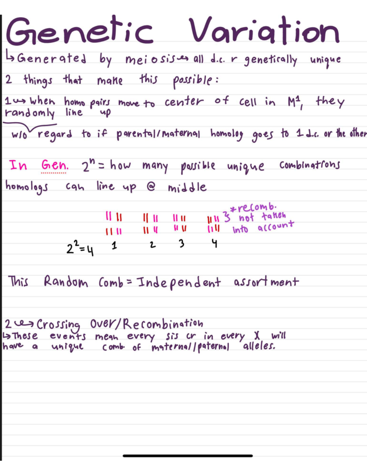 Genetic Variation in Meiosis: MT 1 Notes for Bio 121 - Studocu