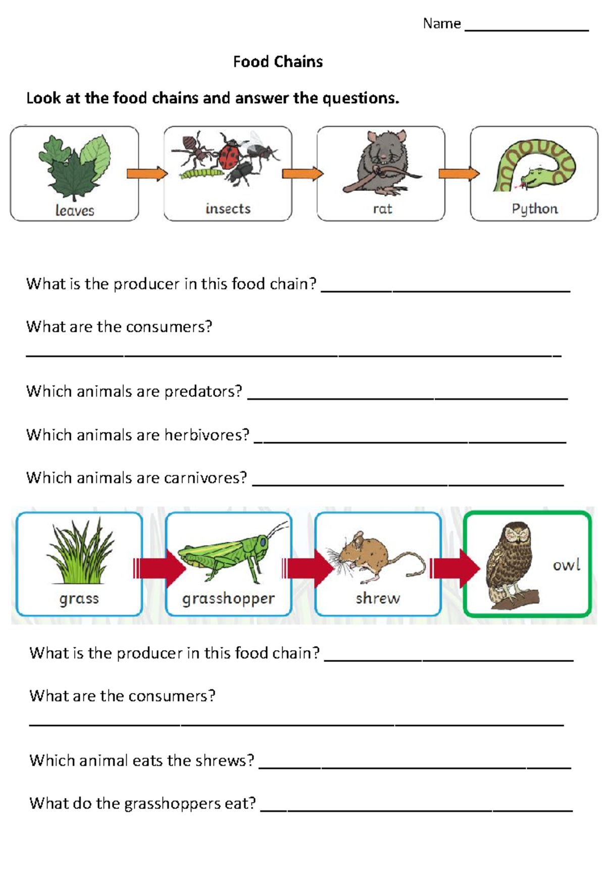 Food Chains: Producers and Consumers Explained - Studocu