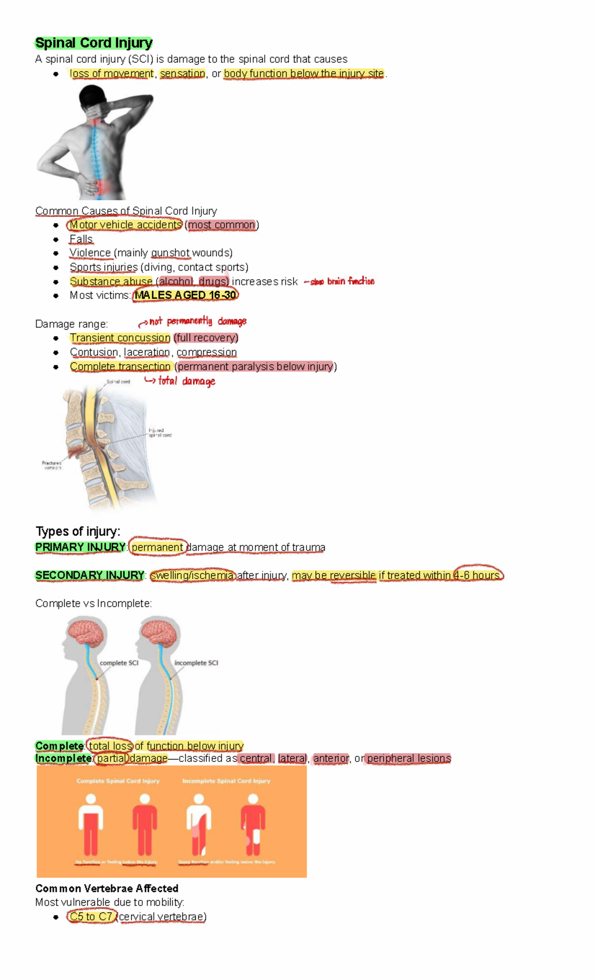 Msp3 - Spinal Cord Injury: Causes, Management, and Nursing Care - Studocu