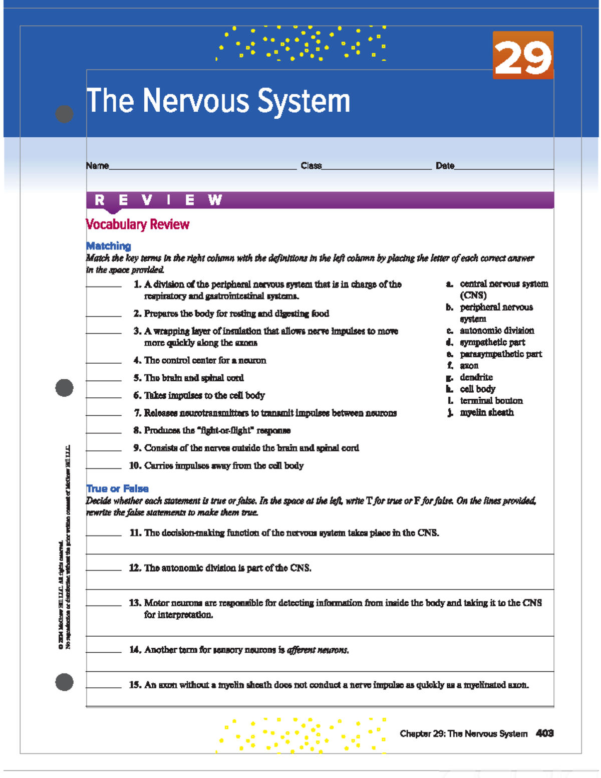 Chapter 29: The Nervous System - Workbook Questions Review - Studocu