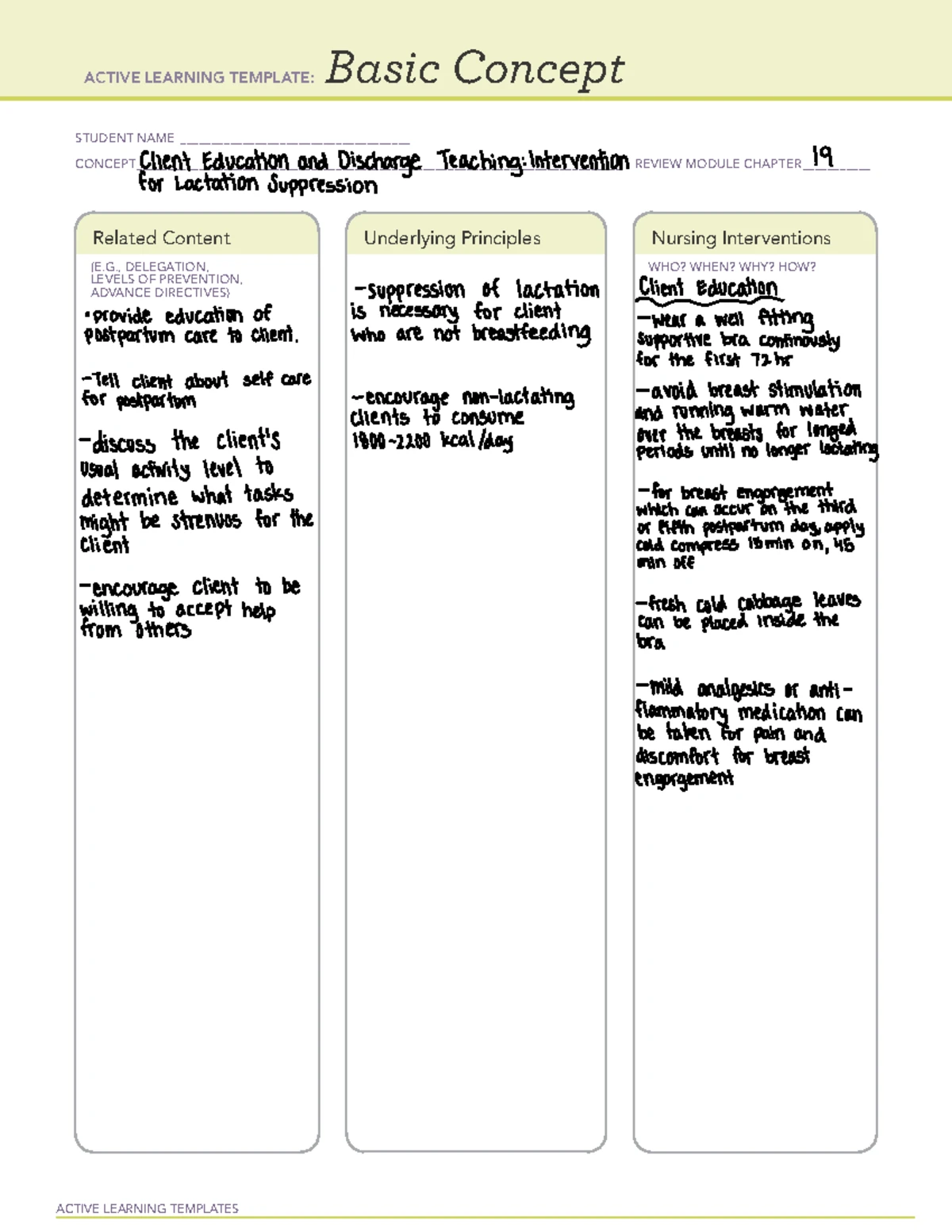 Active Learning Template: Risk Factors for Screening Tool Results - Studocu