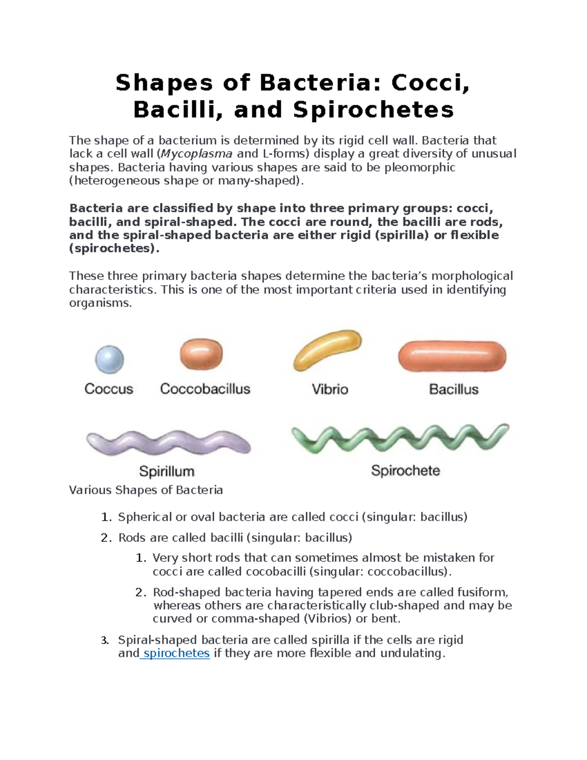Shapes of Bacteria - Clinical Bacteriology - Shapes of Bacteria: Cocci ...