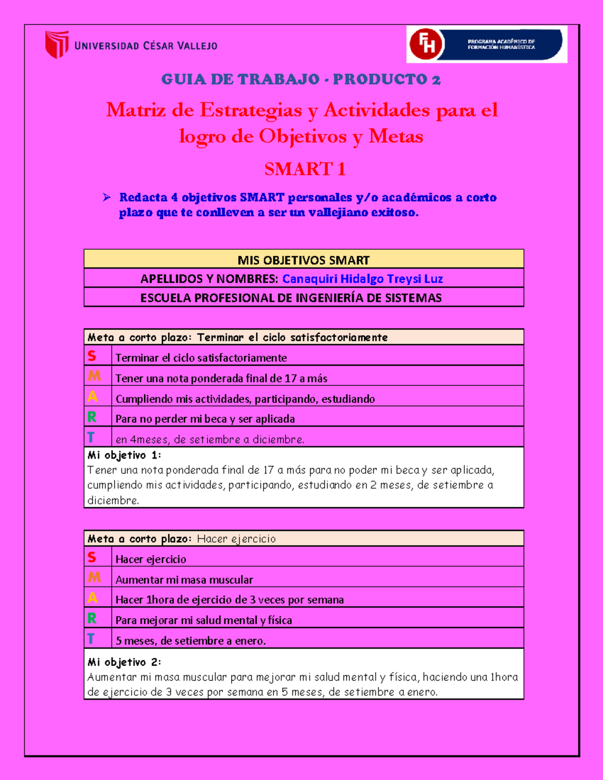 2° Matriz Smart - GUIA DE TRABAJO - PRODUCTO 2 Matriz de Estrategias y ...