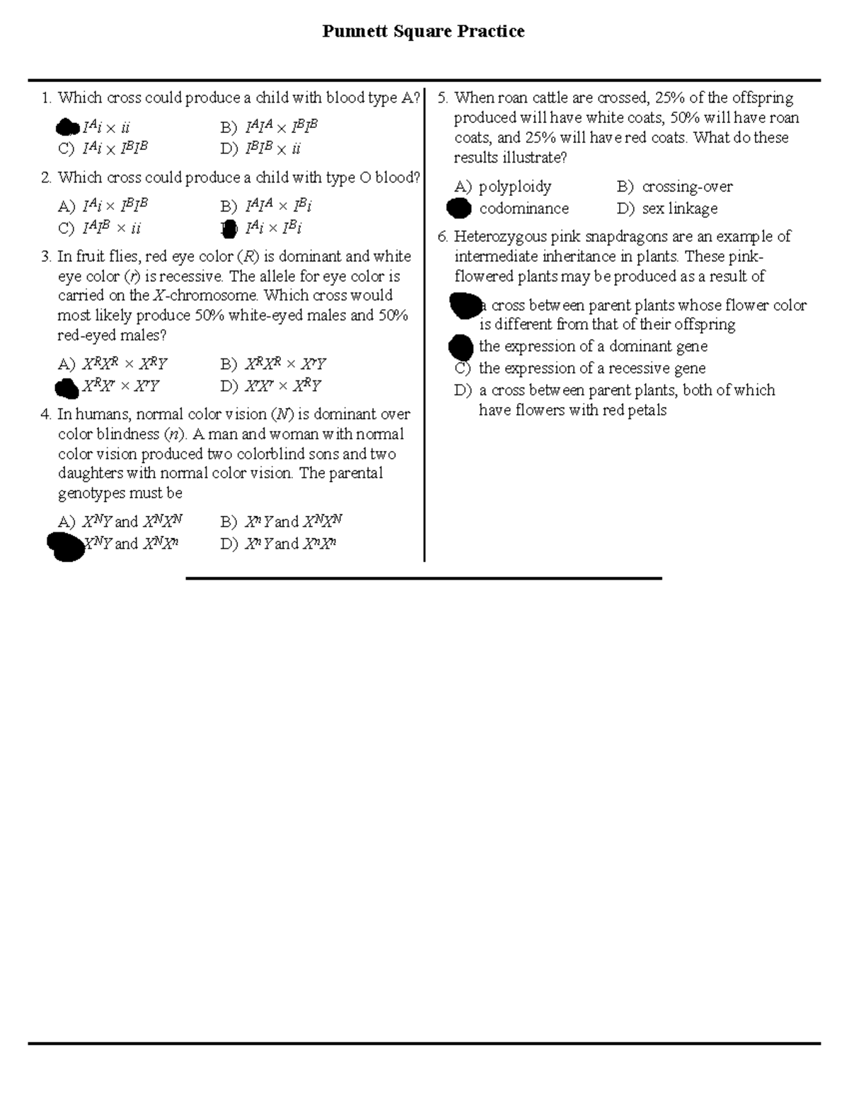 Punnett Square Practice Questions for Genetics Understanding - Studocu